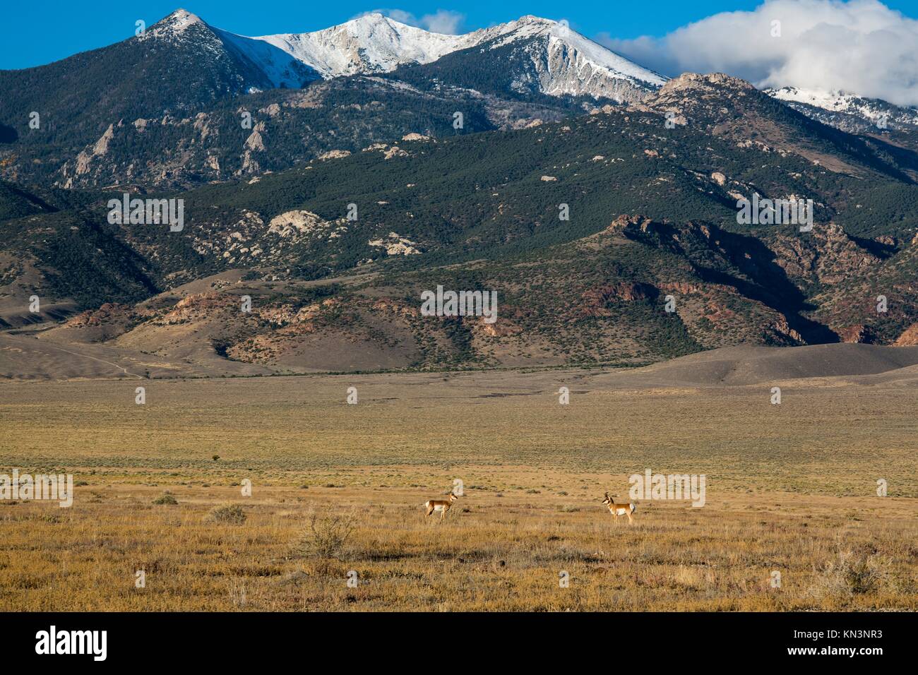 View of the Deep Creek Mountains in the Great Basin October 5, 2016 ...