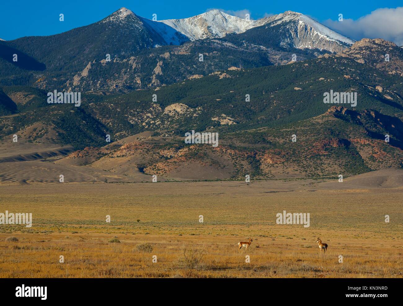 View of the Deep Creek Mountains in the Great Basin October 5, 2016 ...