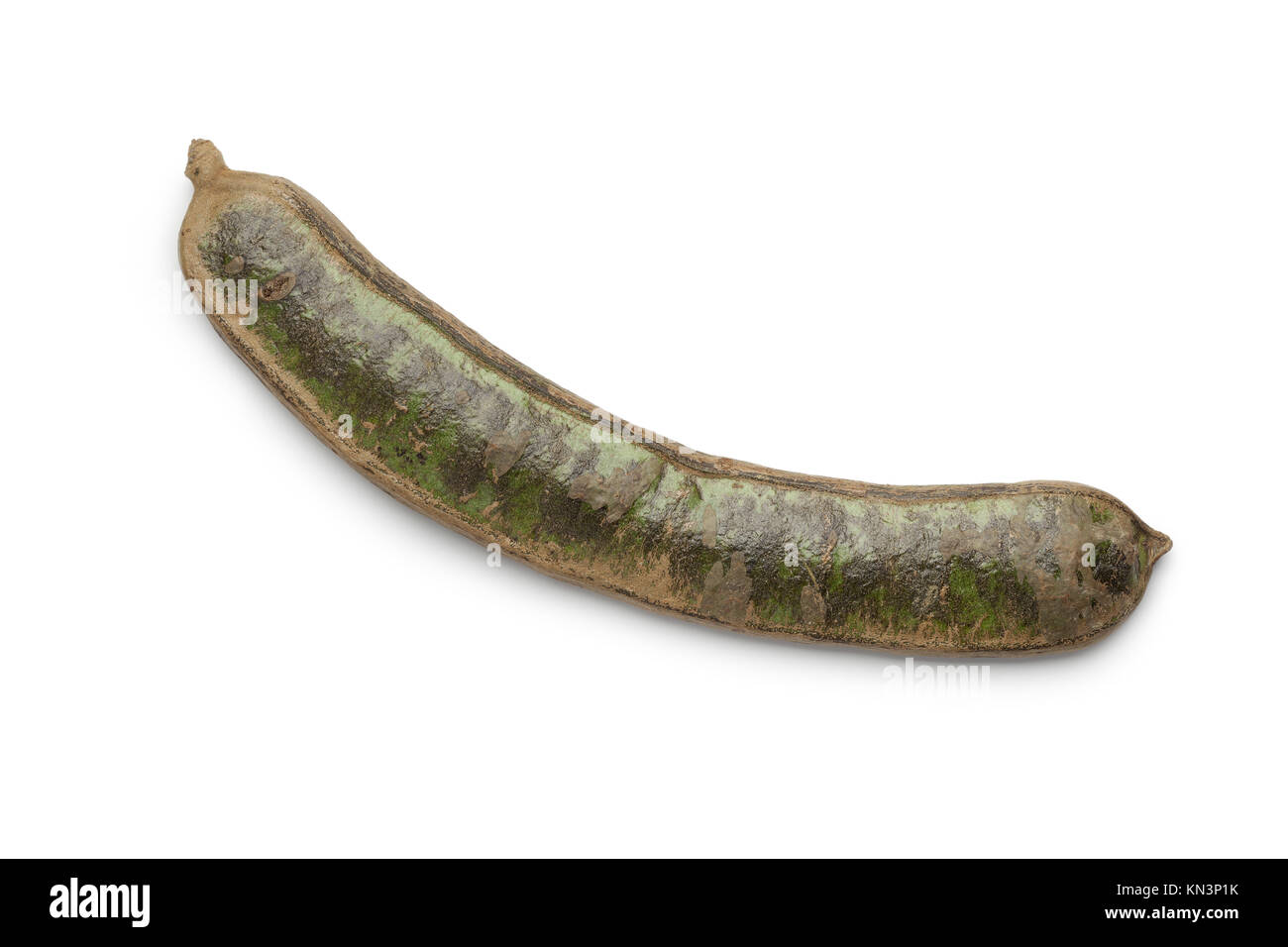 Inga Bean High Resolution Stock Photography and Images - Alamy