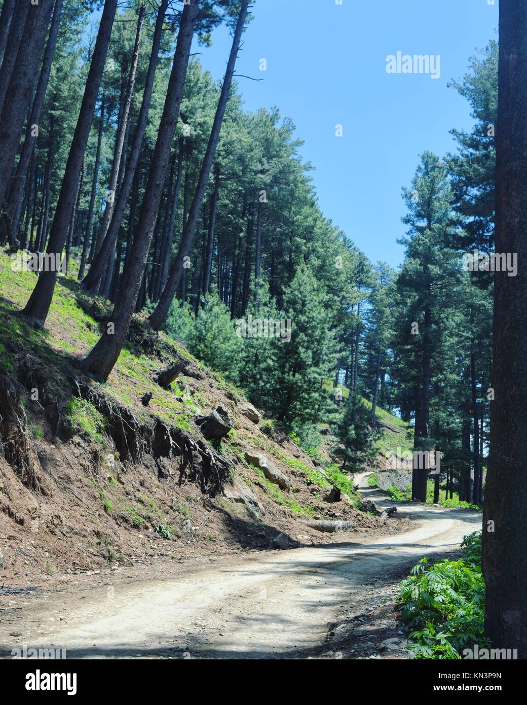 The mountains of murree hi-res stock photography and images - Alamy