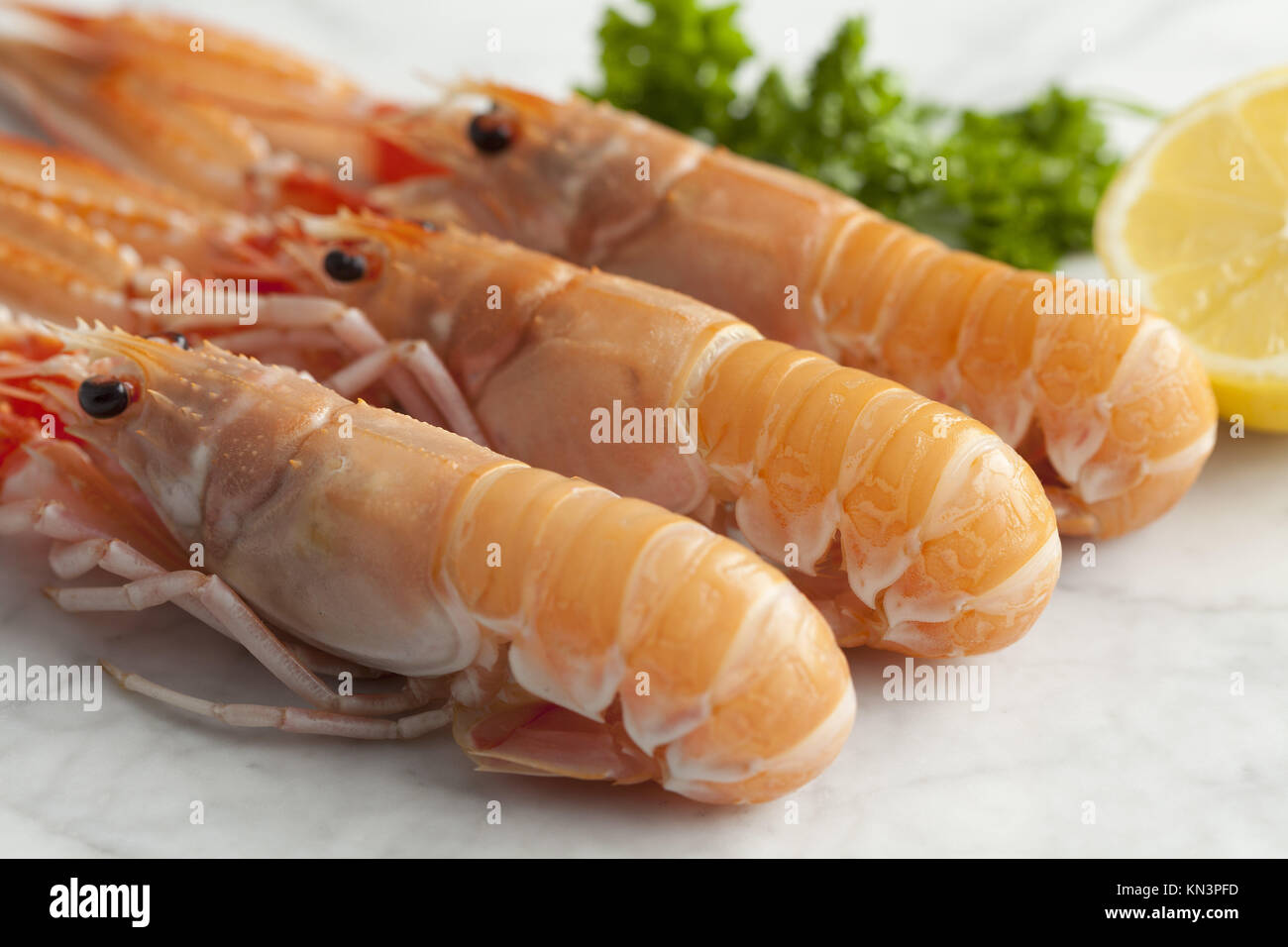 Crayfish Tail Stock Photos & Crayfish Tail Stock Images - Alamy