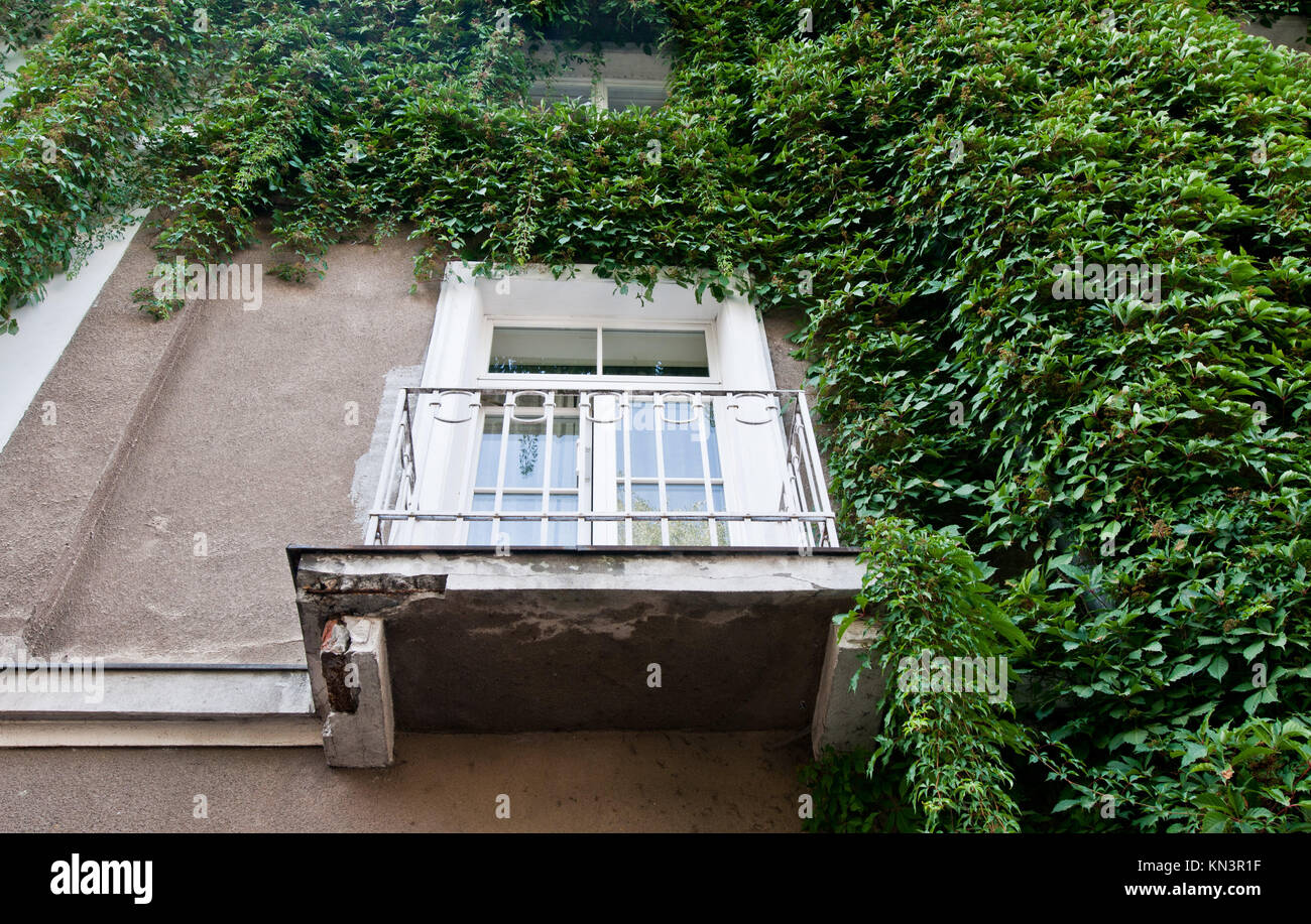 Ivy creeping balcony hi-res stock photography and images - Alamy