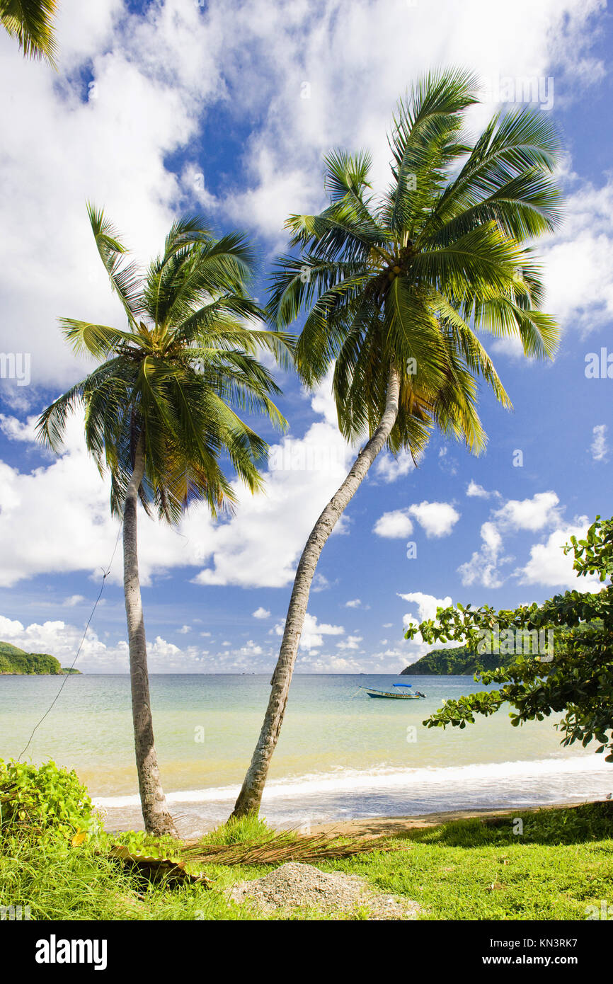 Tobago nature hi-res stock photography and images - Alamy