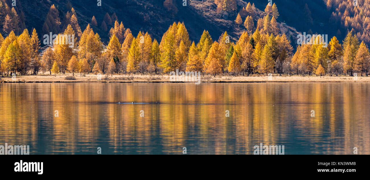 still mountain lake in the Engadin Valley near St. Moritz with ...