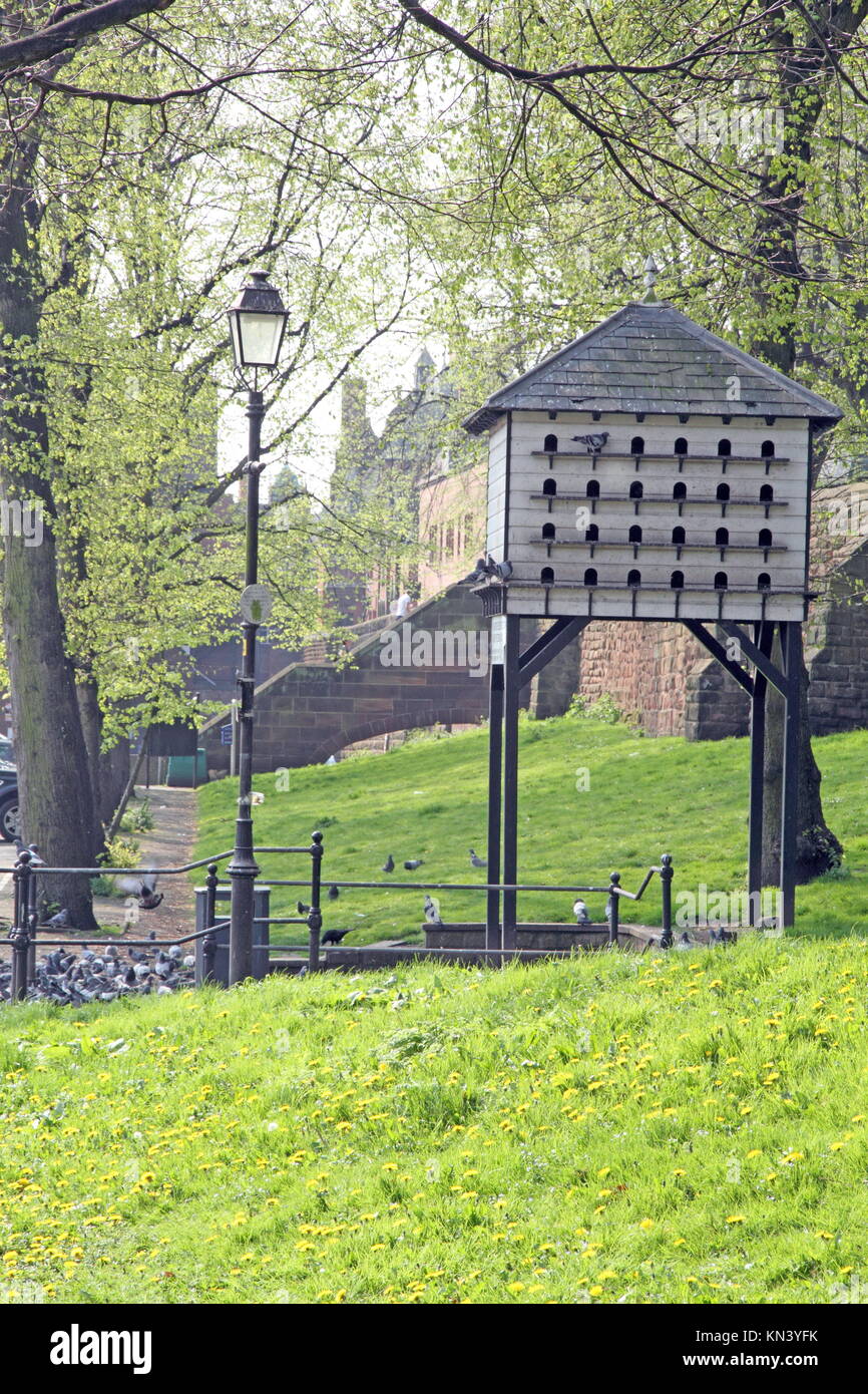 Park chester tree england hi-res stock photography and images - Alamy
