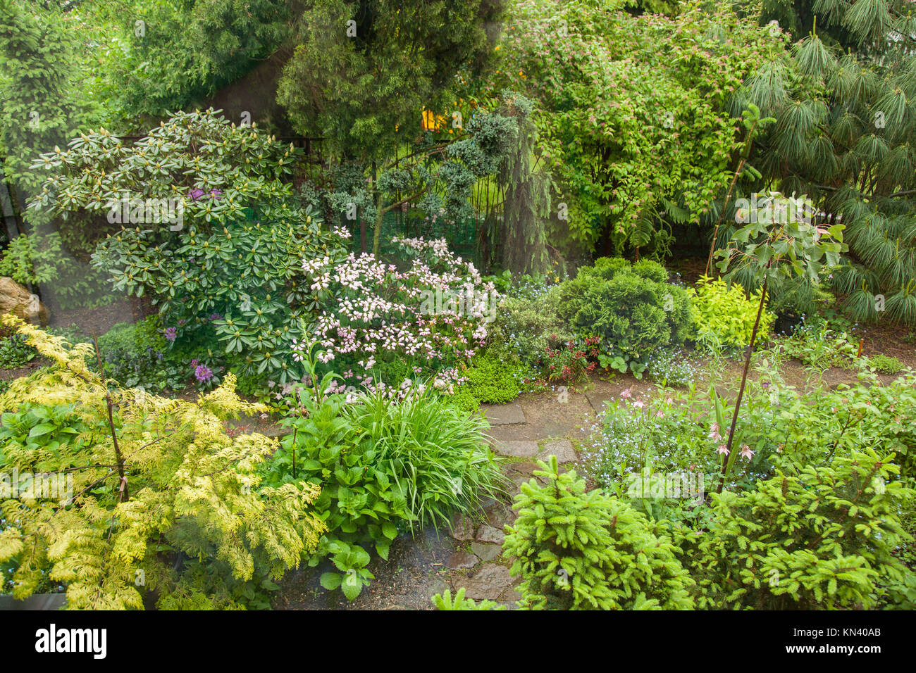 Nature shrubs outdoors hi-res stock photography and images - Alamy
