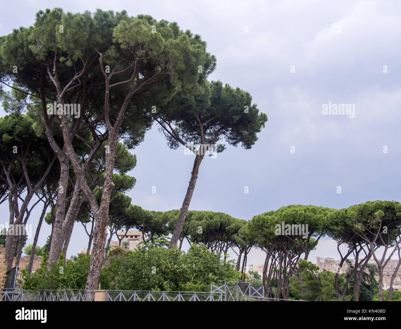 House of augustus rome hi-res stock photography and images - Alamy
