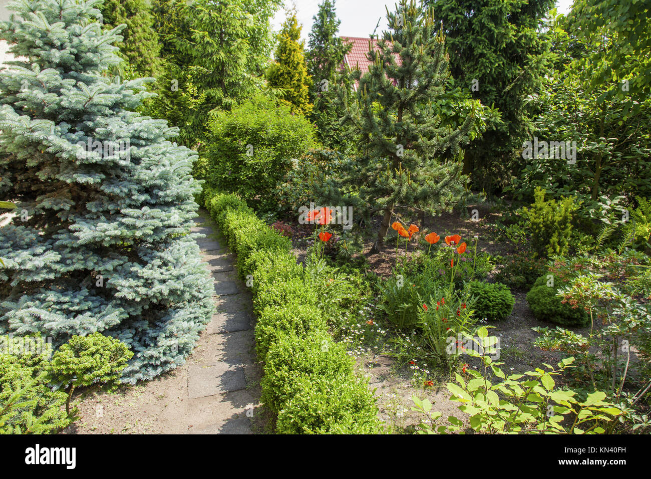 Nature shrubs outdoors hi-res stock photography and images - Alamy