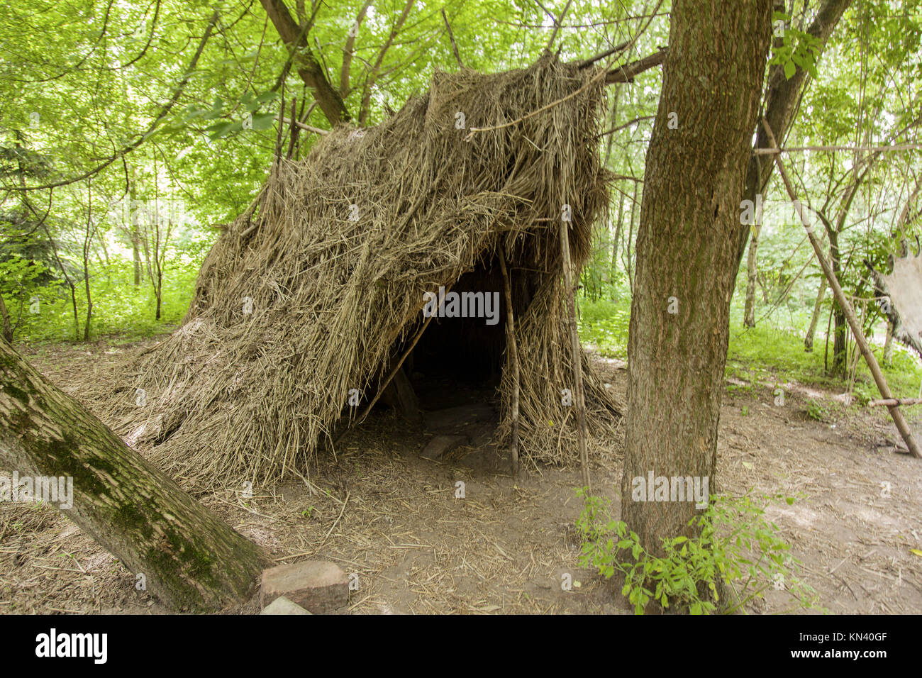 Hunters and gatherers hi-res stock photography and images - Alamy
