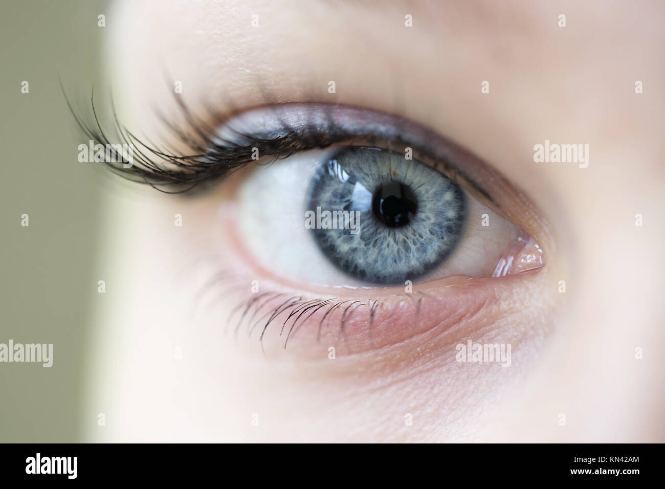 Light blue eye hi-res stock photography and images - Alamy