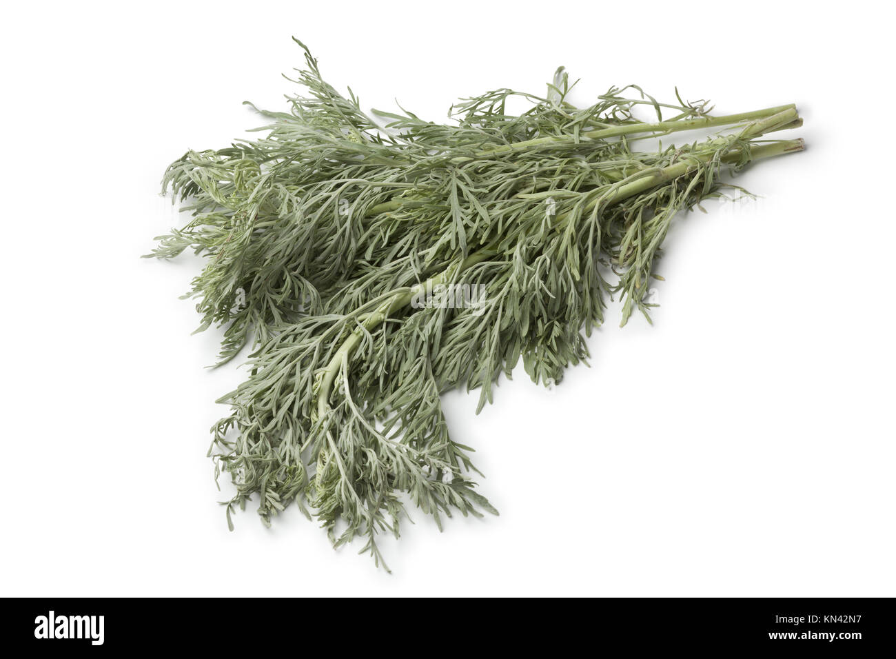 Fresh absinthe wormwood on white background Stock Photo - Alamy
