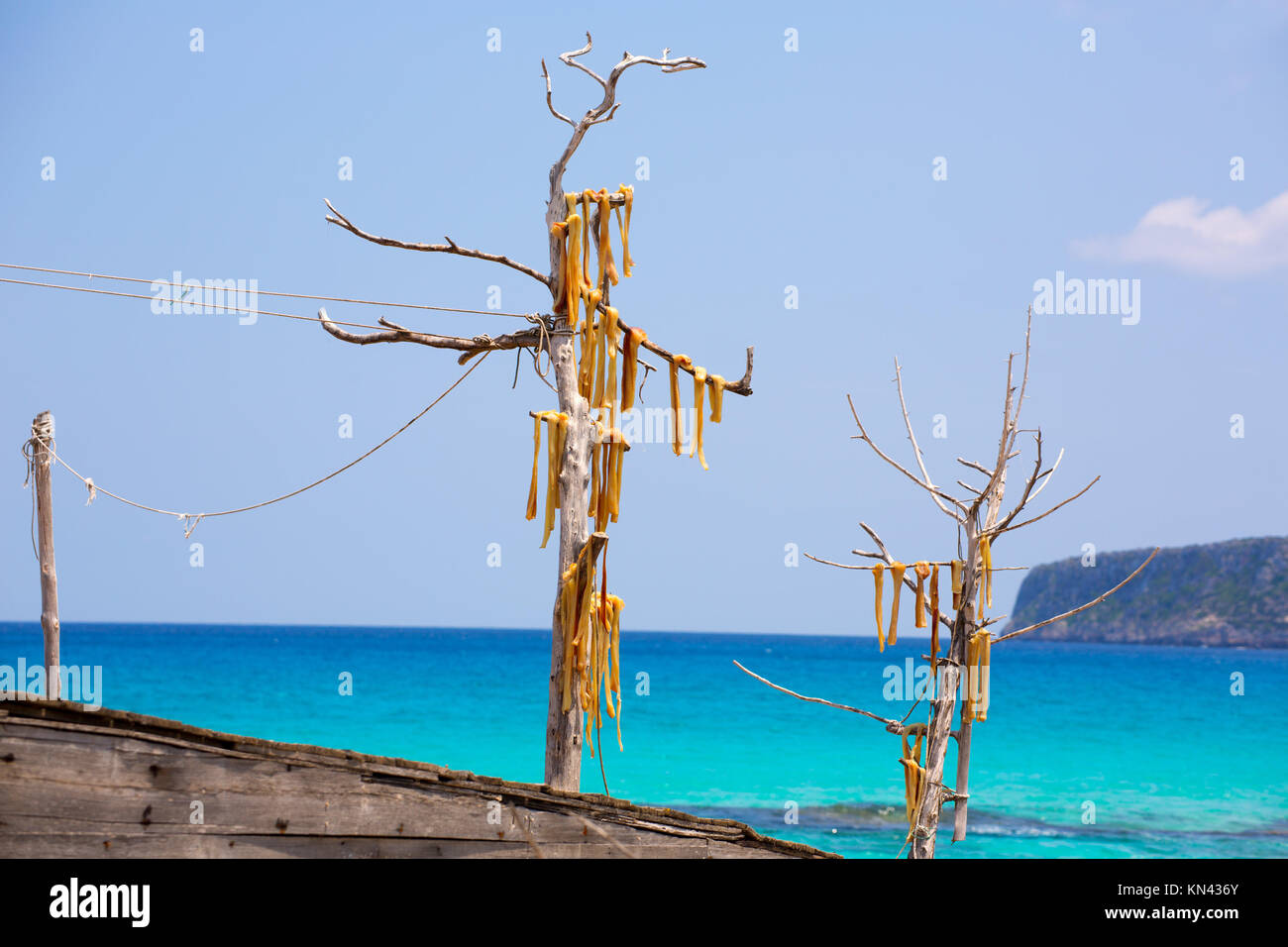 Peix sec formentera hi-res stock photography and images - Alamy