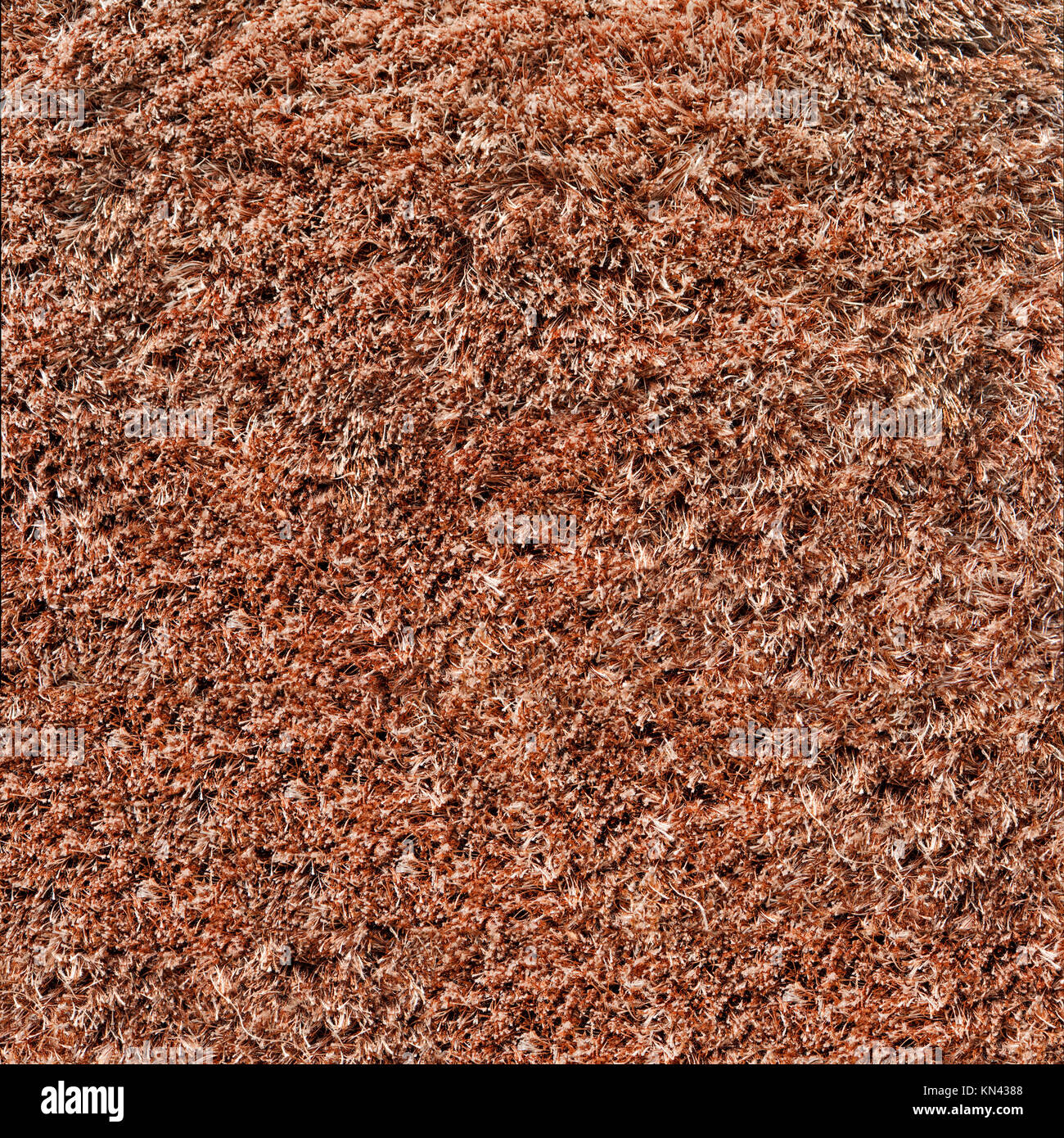 Beige brown carpet texture hi-res stock photography and images - Alamy