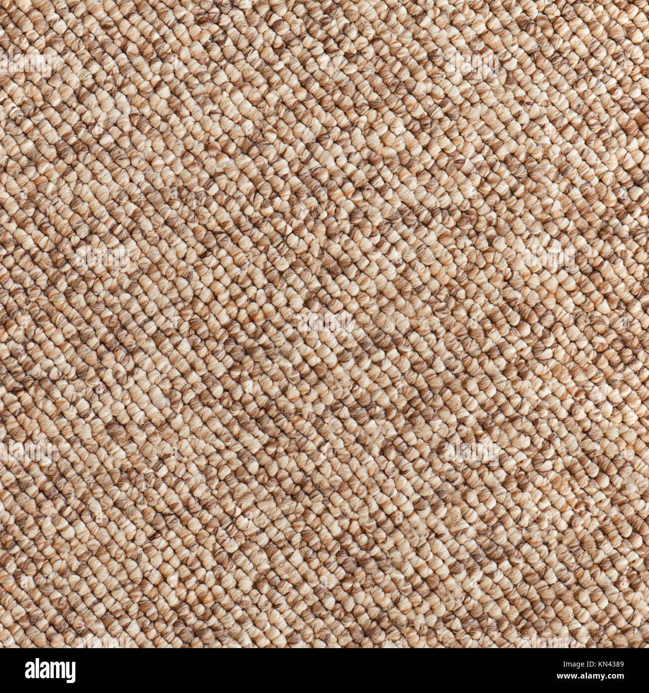 Beige Carpet Texture