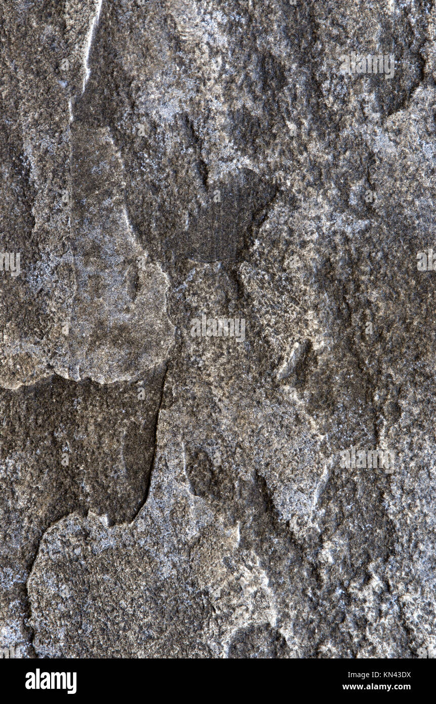 Aged rough surface hi-res stock photography and images - Alamy