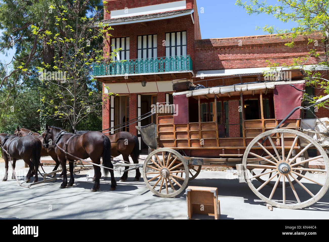 California Gold Rush Wagon Train