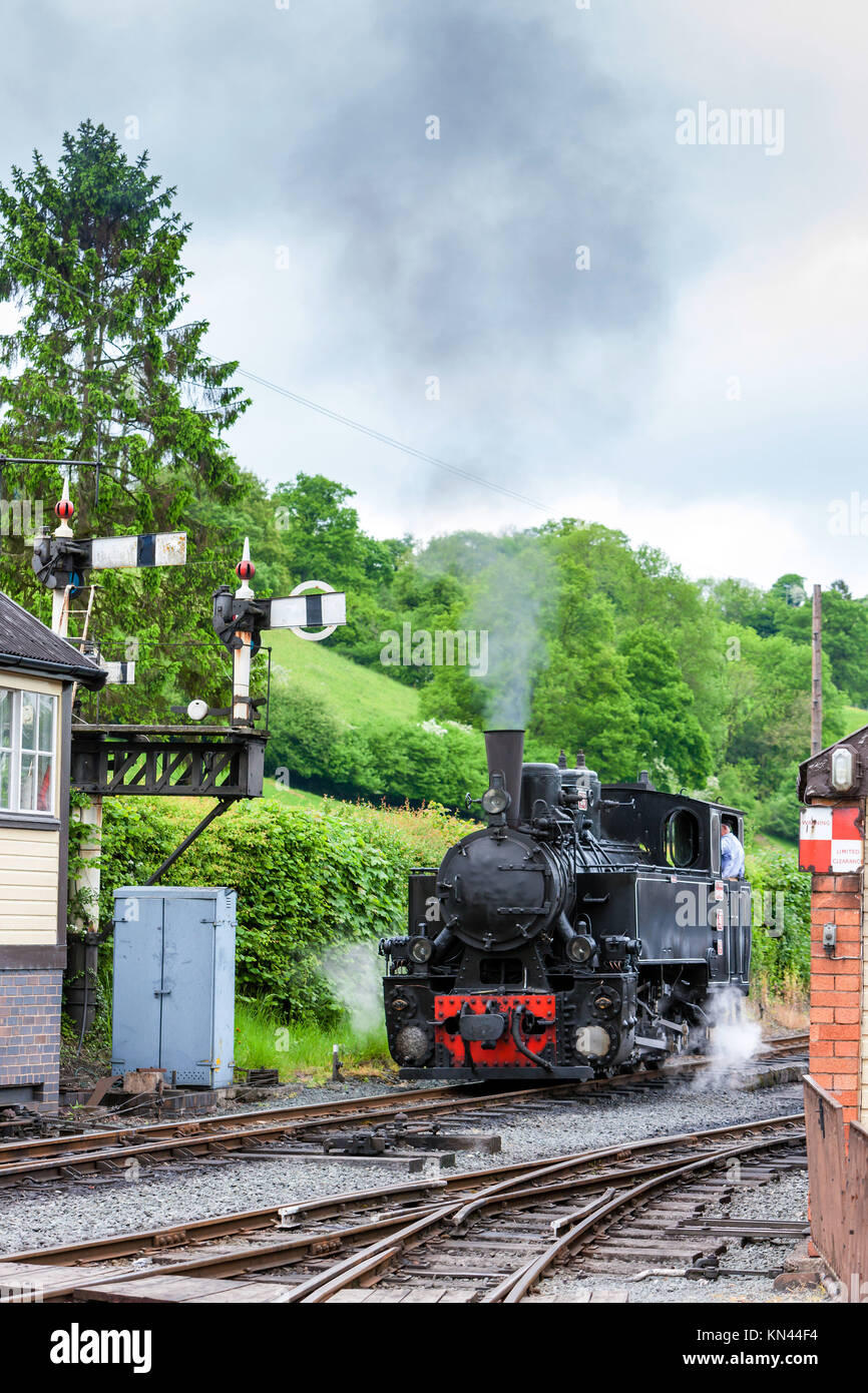 Welshpool light railway hi-res stock photography and images - Alamy