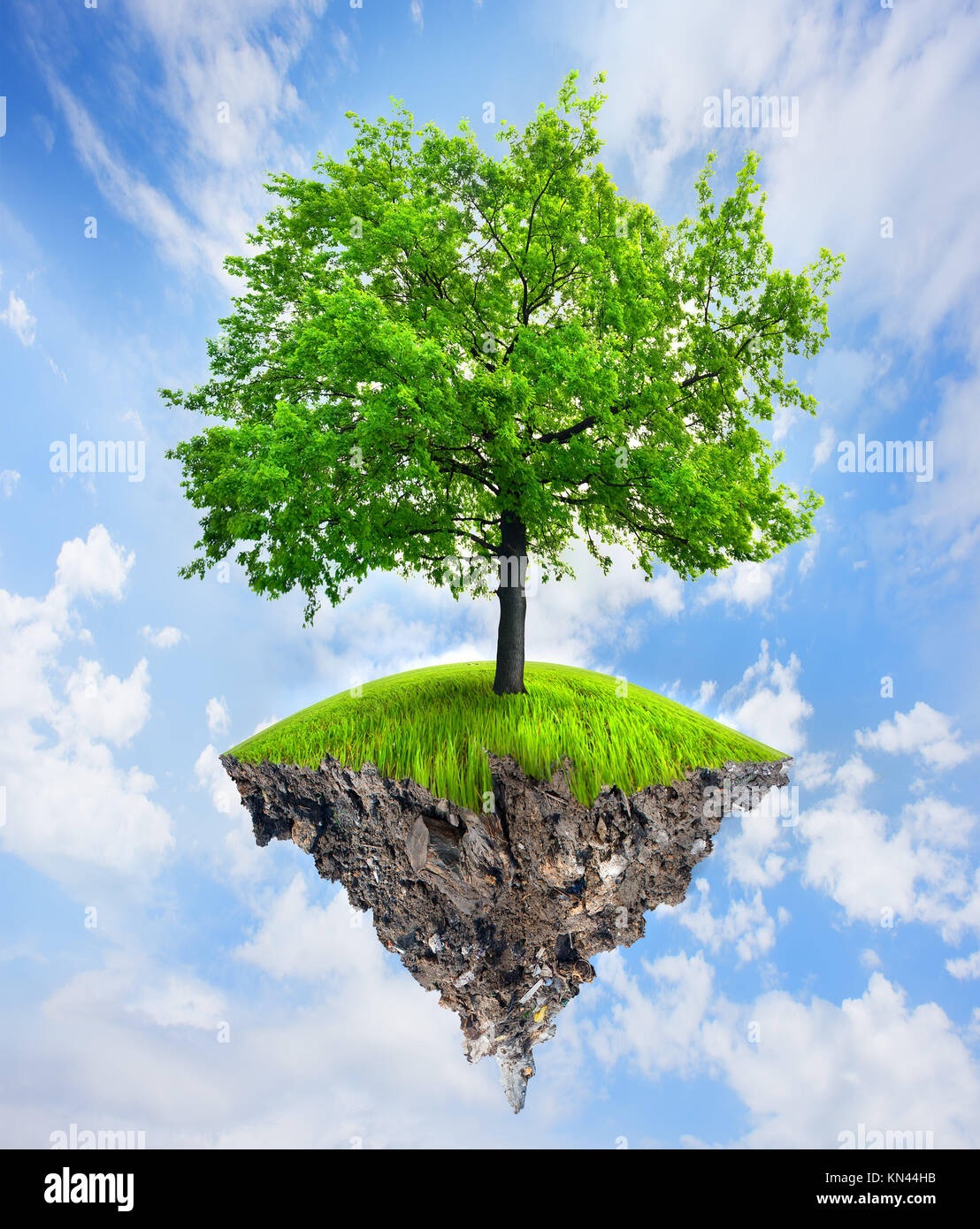 Grass land with tree hi-res stock photography and images - Alamy