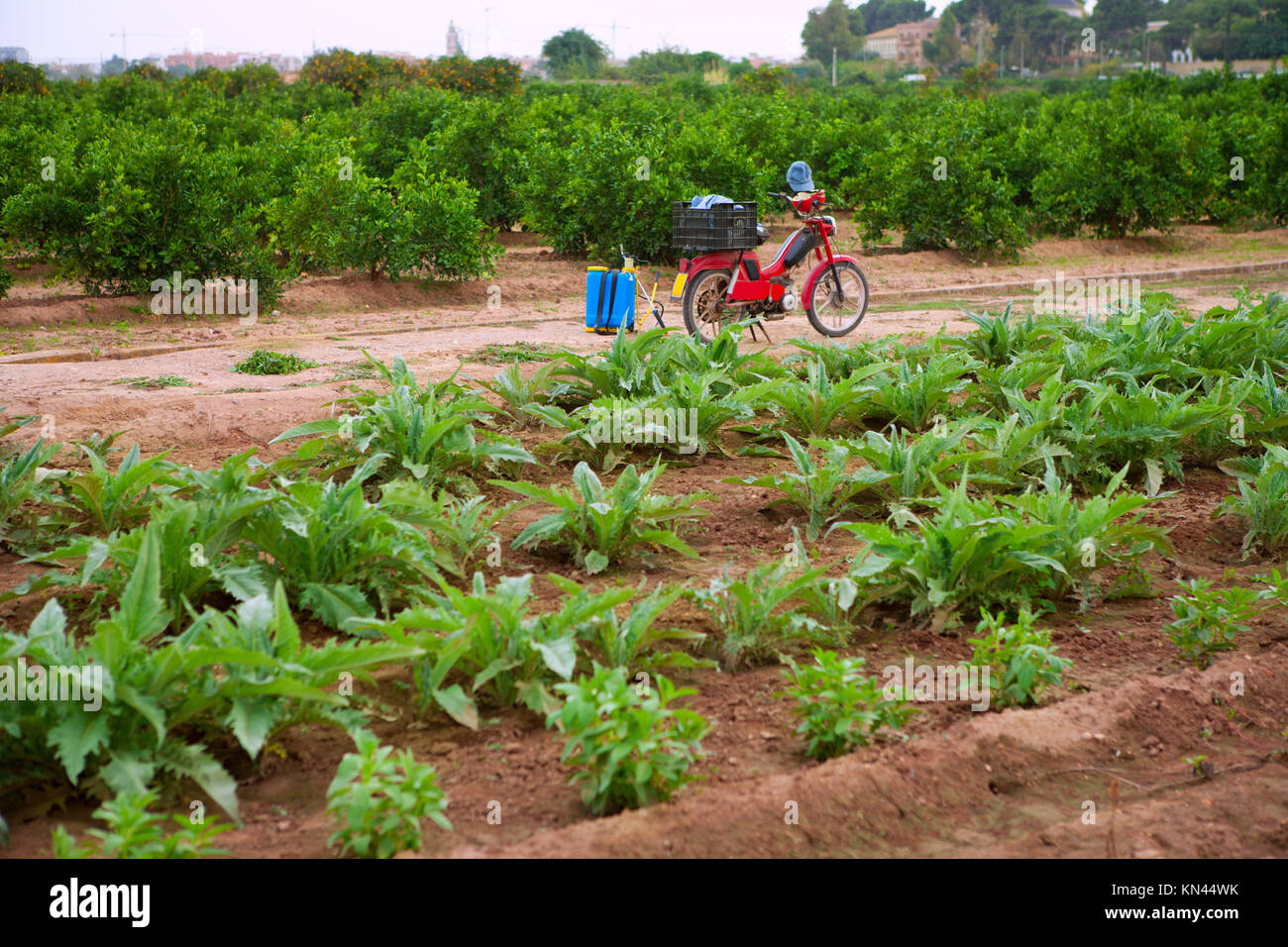 Traditional agriculture hi-res stock photography and images - Alamy