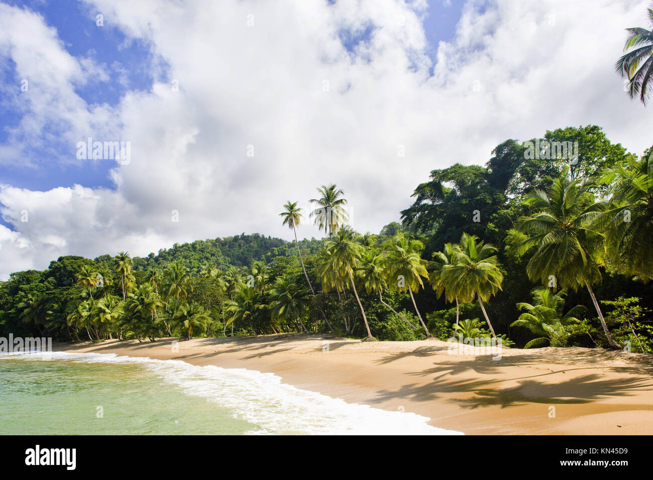 Invaders Bay Trinidad