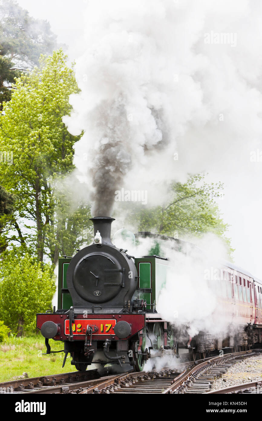 steam train, Strathspey Railway, Highlands, Scotland Stock Photo - Alamy