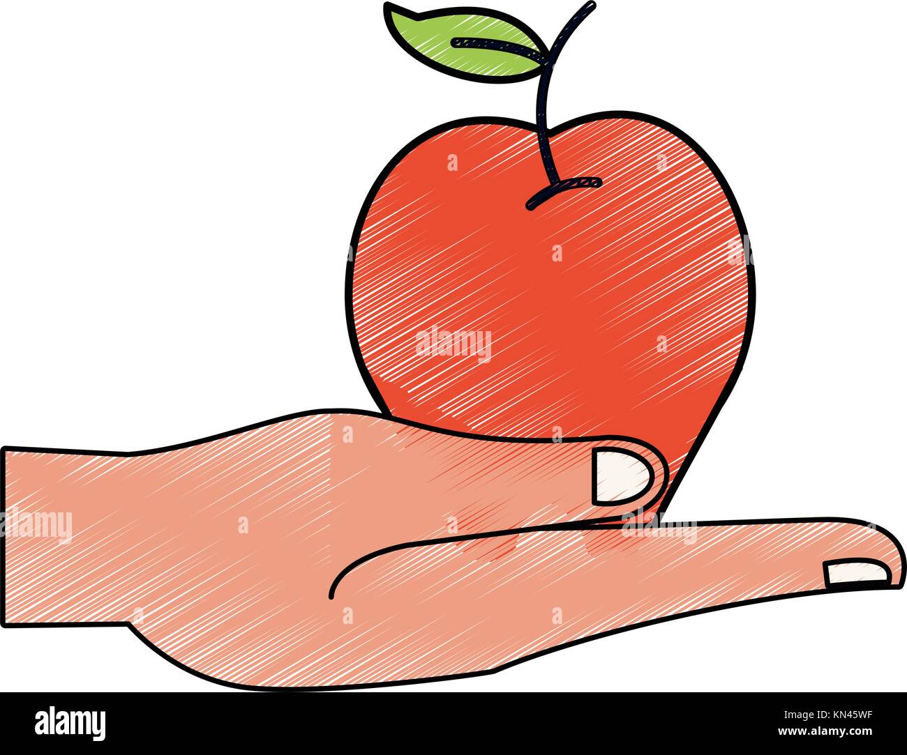 Hand holding an apple Stock Vector Image & Art - Alamy