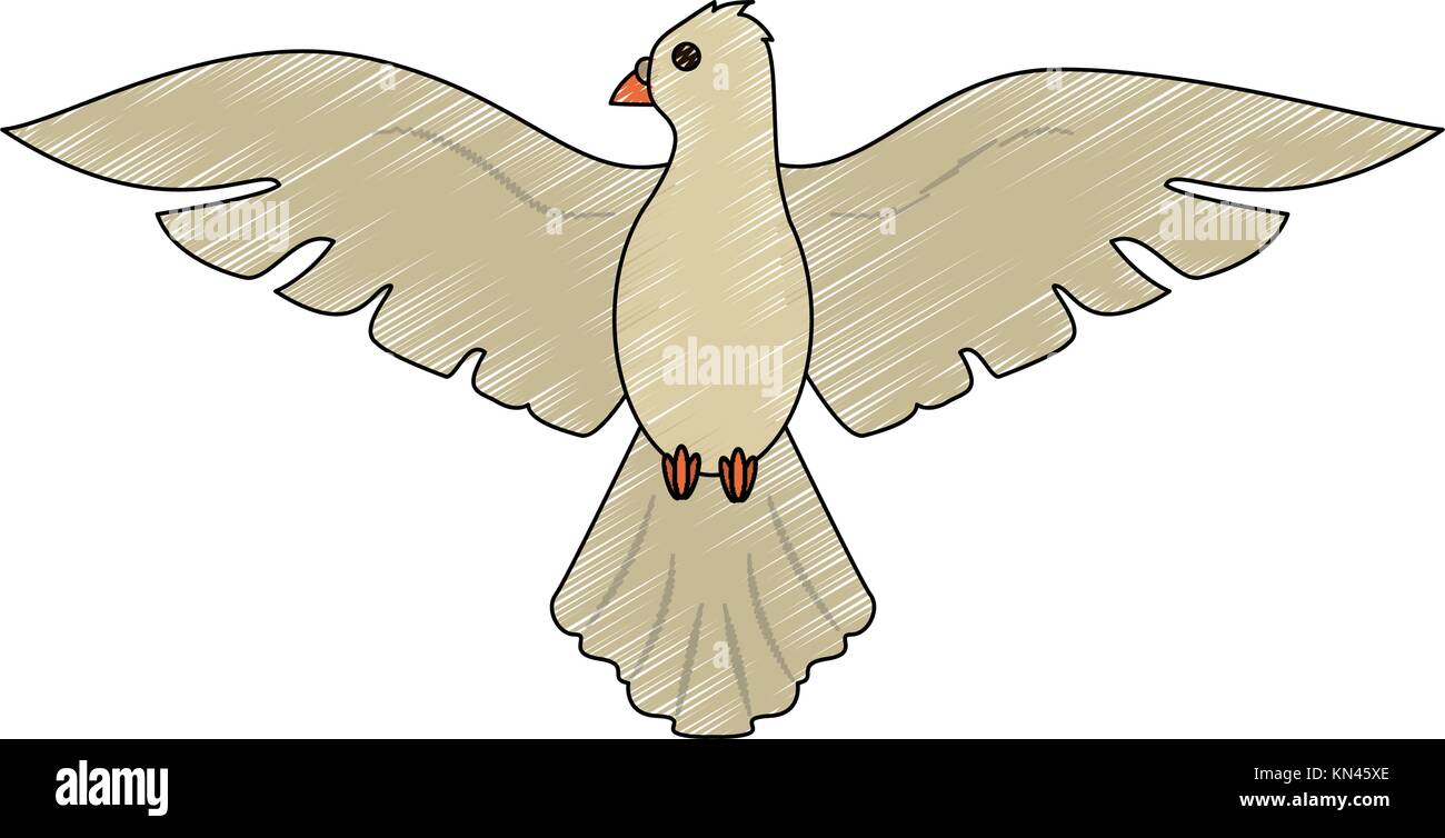 Pigeon dove bird standing Stock Vector Images - Alamy