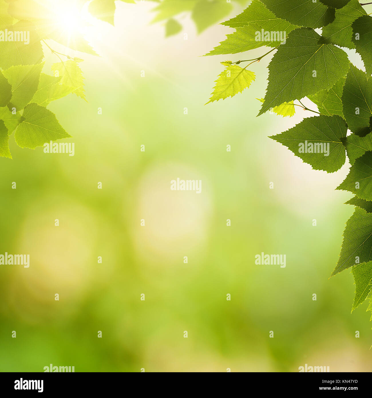 Beauty of environment hi-res stock photography and images - Alamy