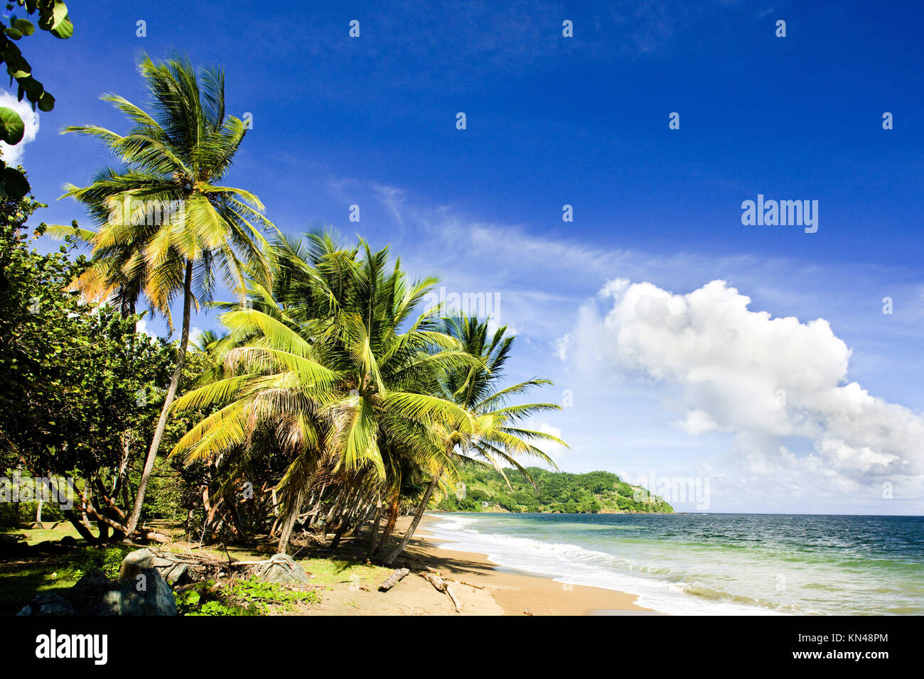 Pinfold hi-res stock photography and images - Alamy