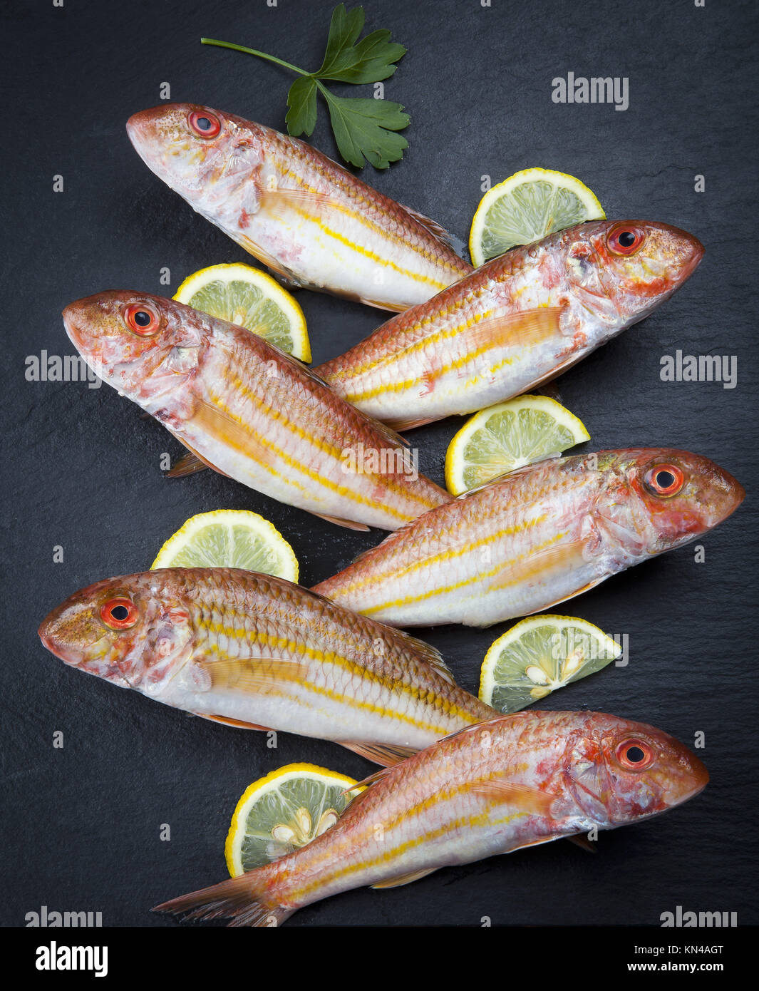 Red mullet dish hi-res stock photography and images - Alamy