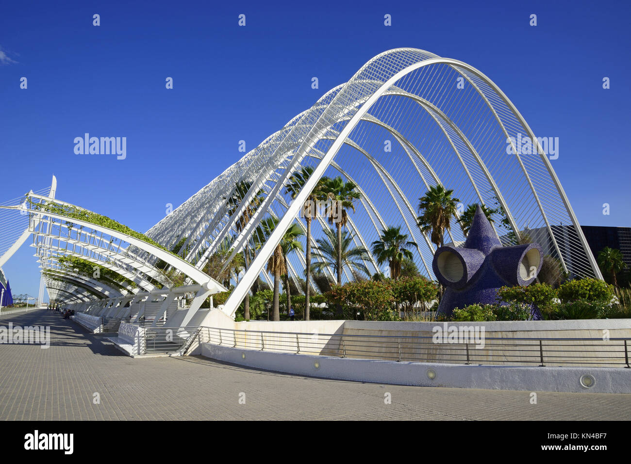 Umbracle garden hi-res stock photography and images - Alamy