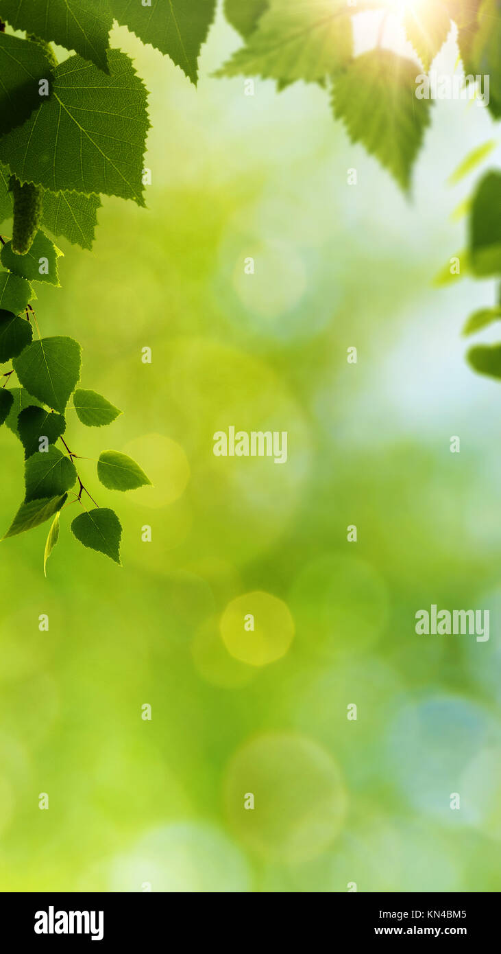 16x9 image hi-res stock photography and images - Alamy