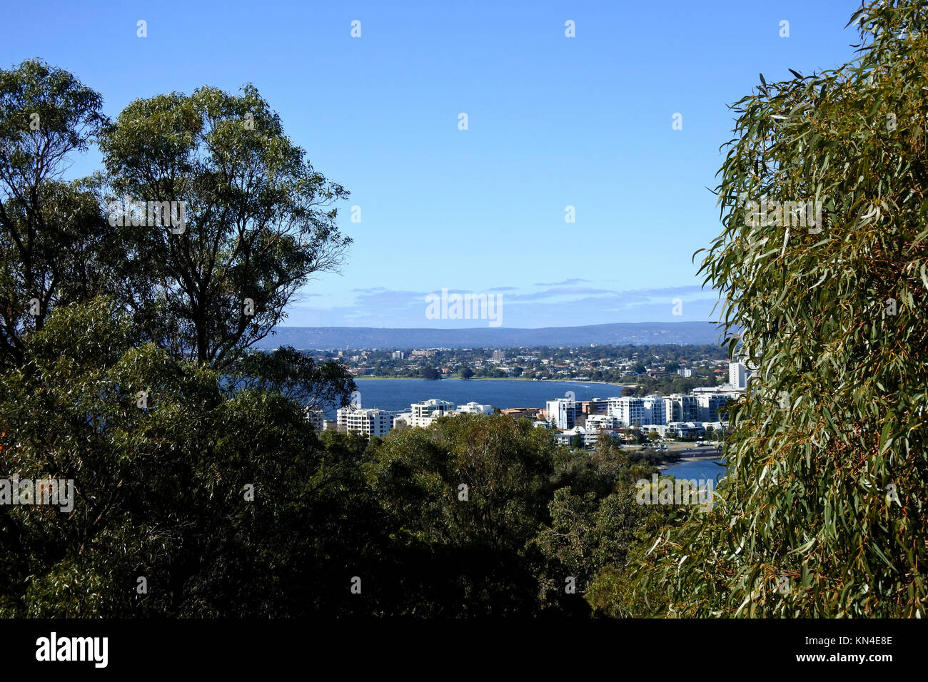 View of South Perth City from Kings Park and Botanical Gardnes Stock ...