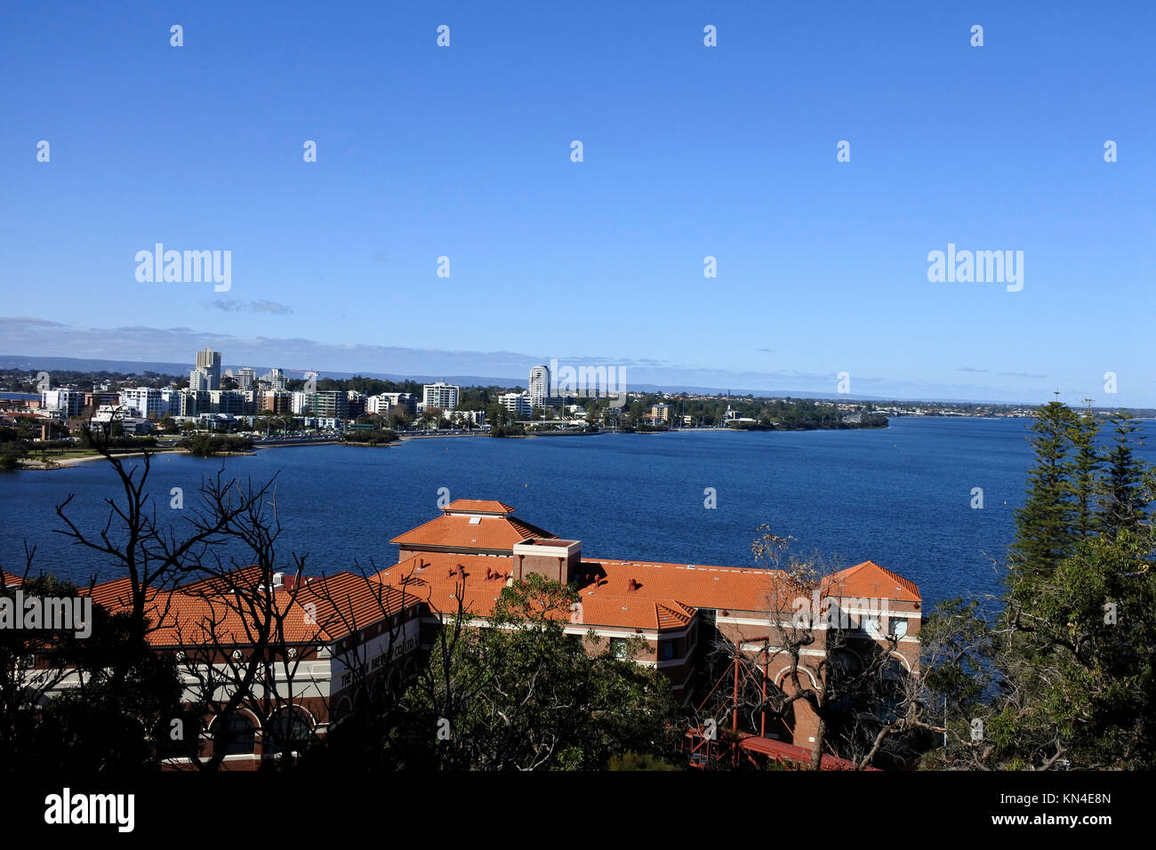 View of South Perth City from Kings Park and Botanical Gardnes Stock ...