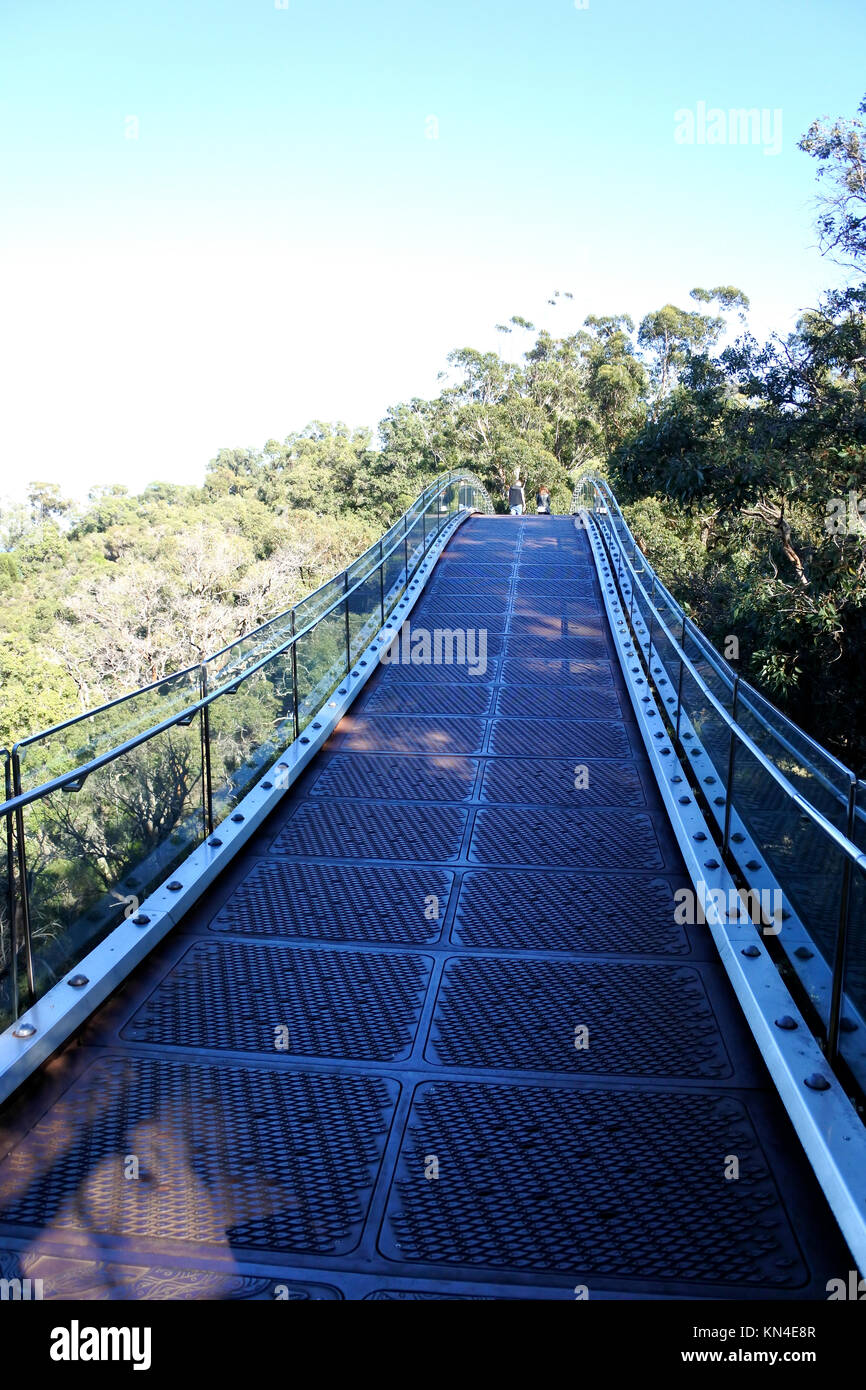 Suspension Bridge at Kings Park and Botanical Gardnes Stock Photo - Alamy