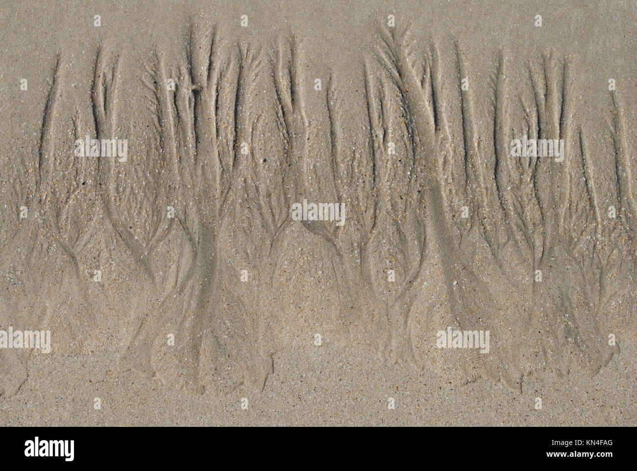 Sand Art, Receeding Tide Patterns in the sand Stock Photo - Alamy