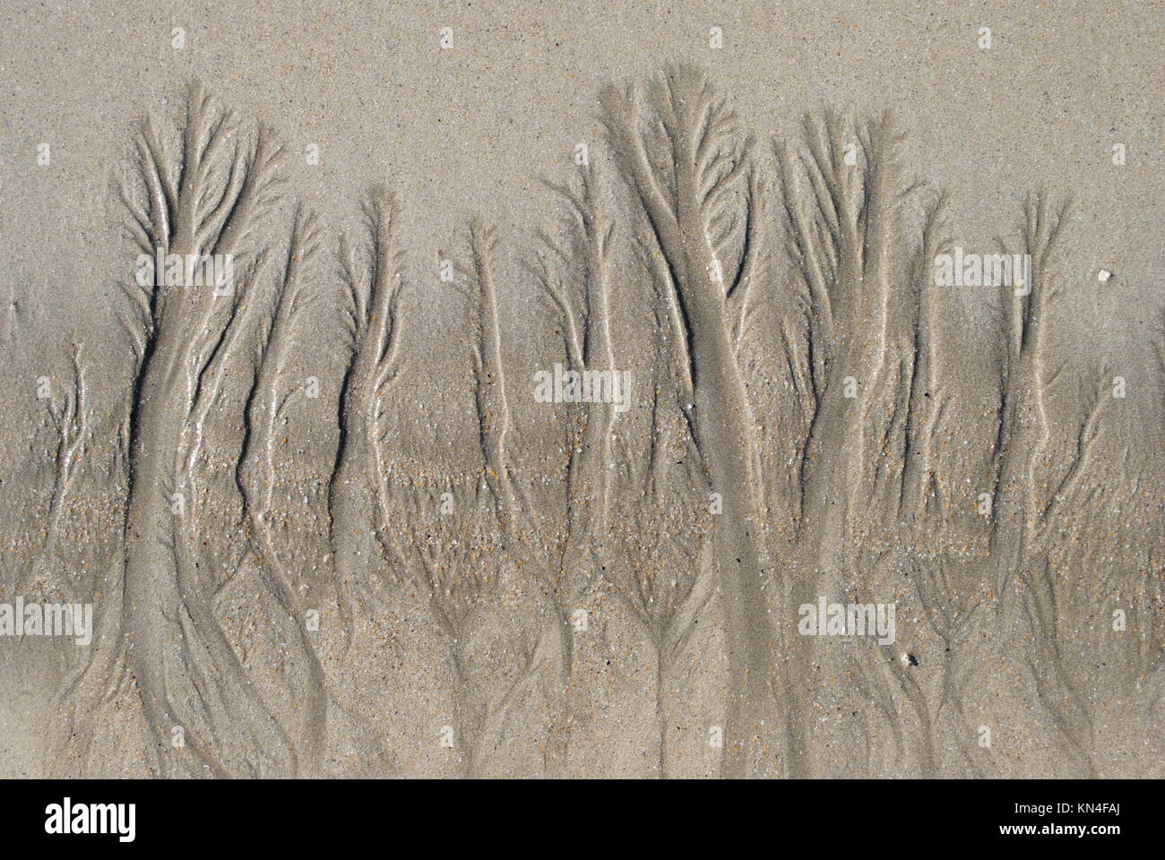 Sand Art, Receeding Tide Patterns in the sand Stock Photo - Alamy