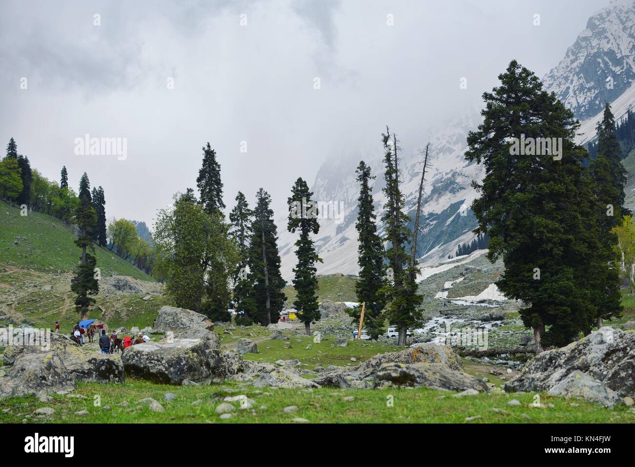 The Beauty Of Kashmir Stock Photo - Alamy