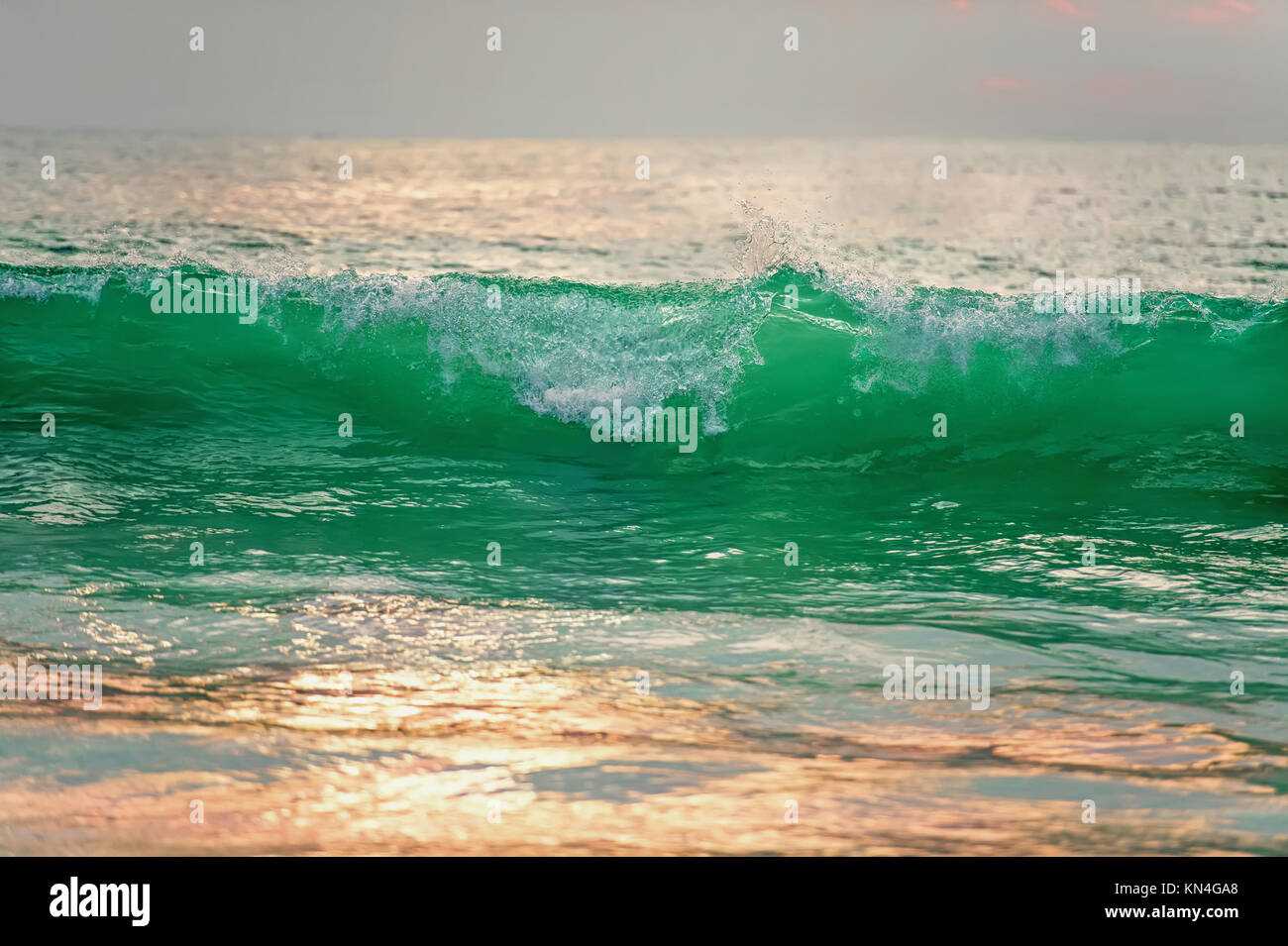 Beautiful high tide surf at sunset in the sun. The horizontal frame ...