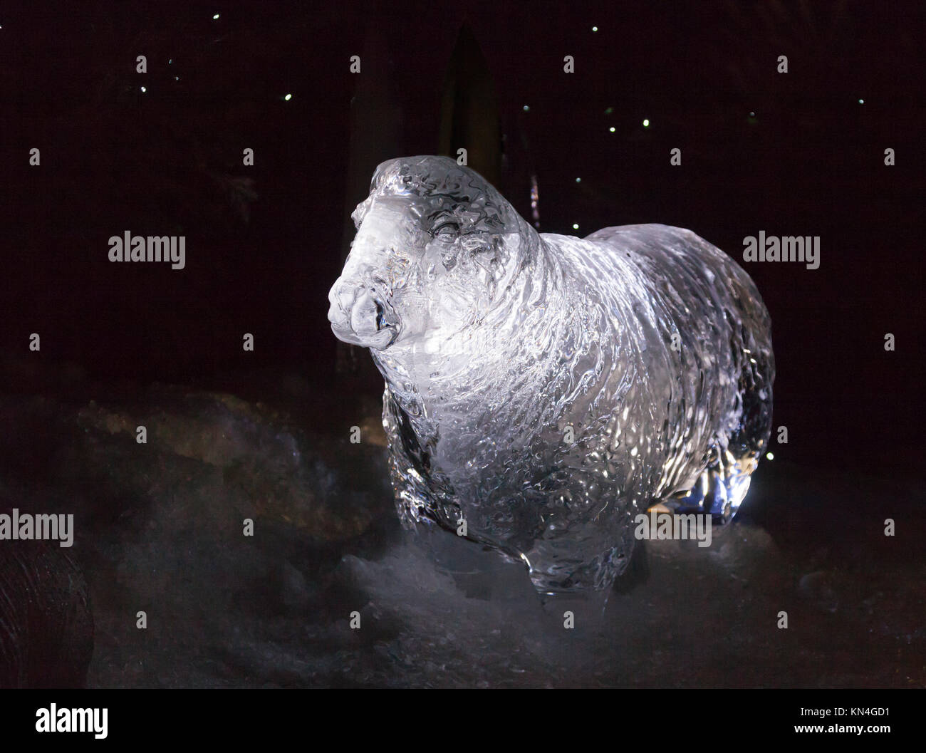 Dolly the Sheep ice sculpture in The Ice Adventure: a Journey through ...