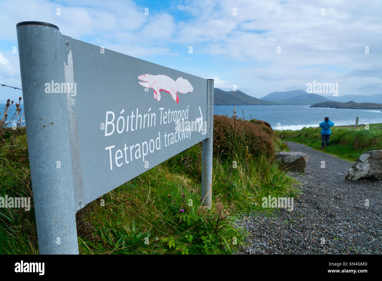 Tetrapod footprints, Valentia Island, Iveragh Peninsula, County Kerry ...