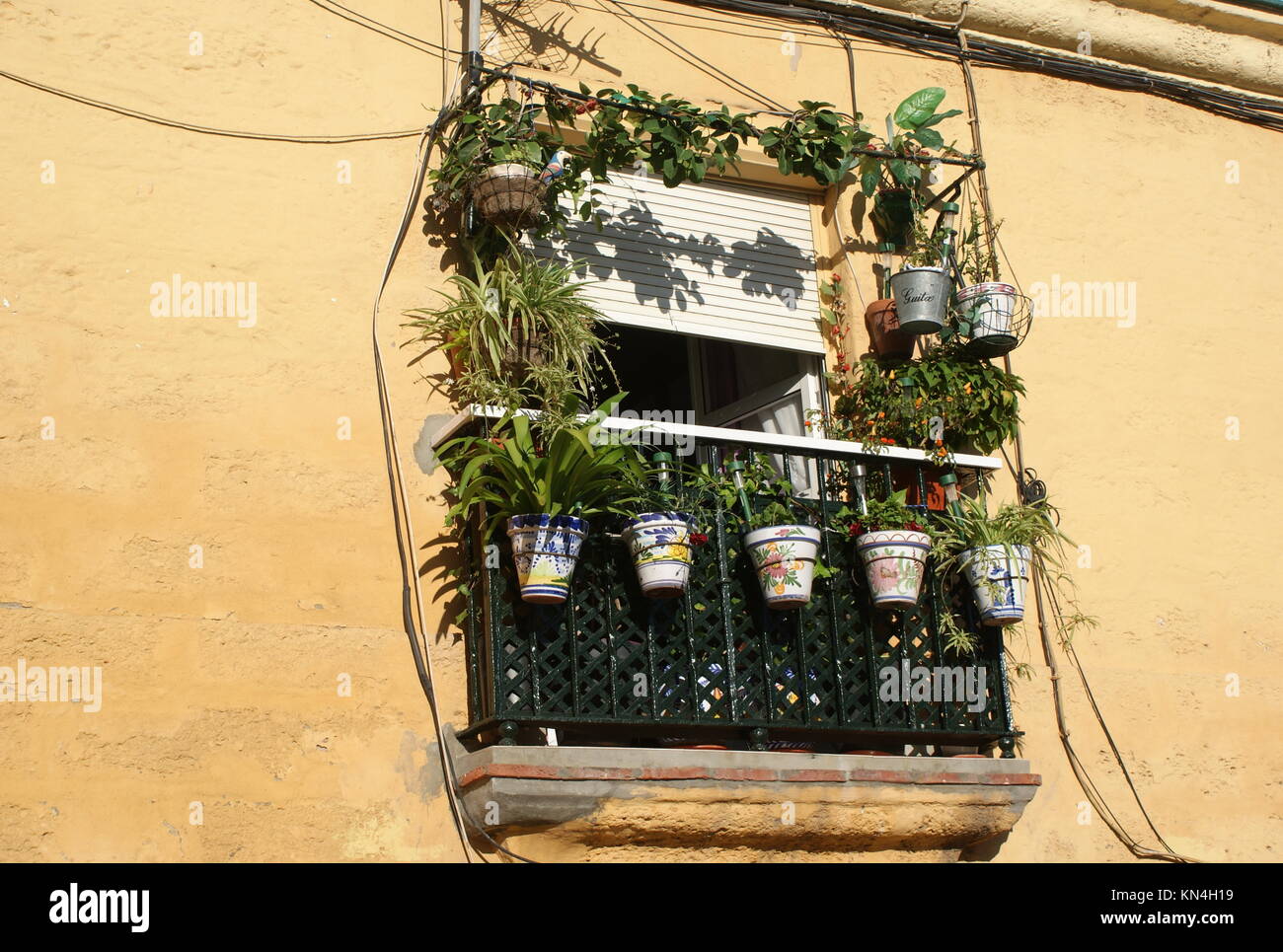 Decorative flower pots hanging from a window balcony, Cadiz, Spain ...