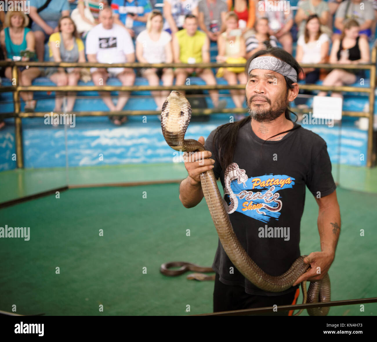 Deadly Thai Snakes High Resolution Stock Photography and Images - Alamy