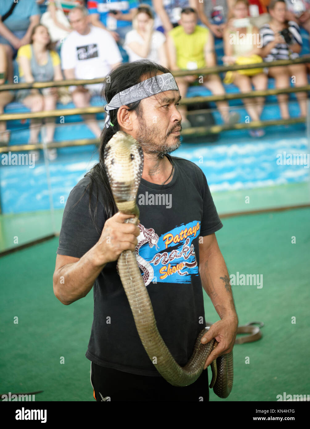 Snakes show thai hi-res stock photography and images - Alamy