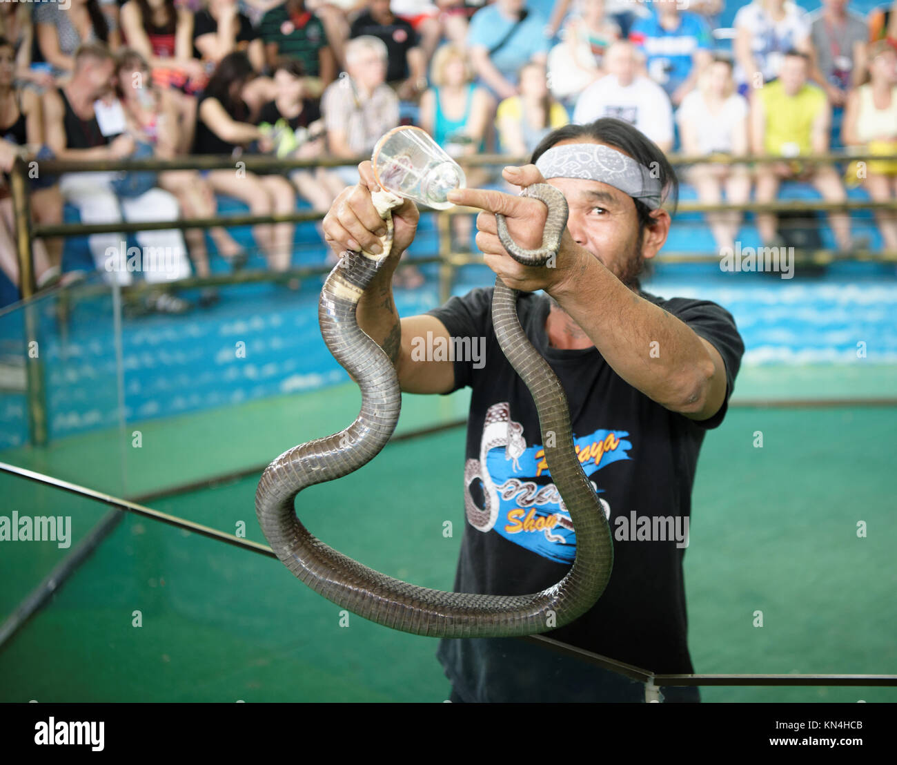 Deadly reptile hi-res stock photography and images - Alamy