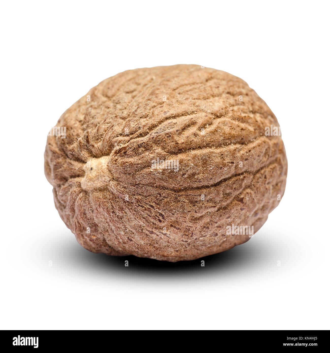 nutmeg isolated on white background. Clipping path Stock Photo - Alamy
