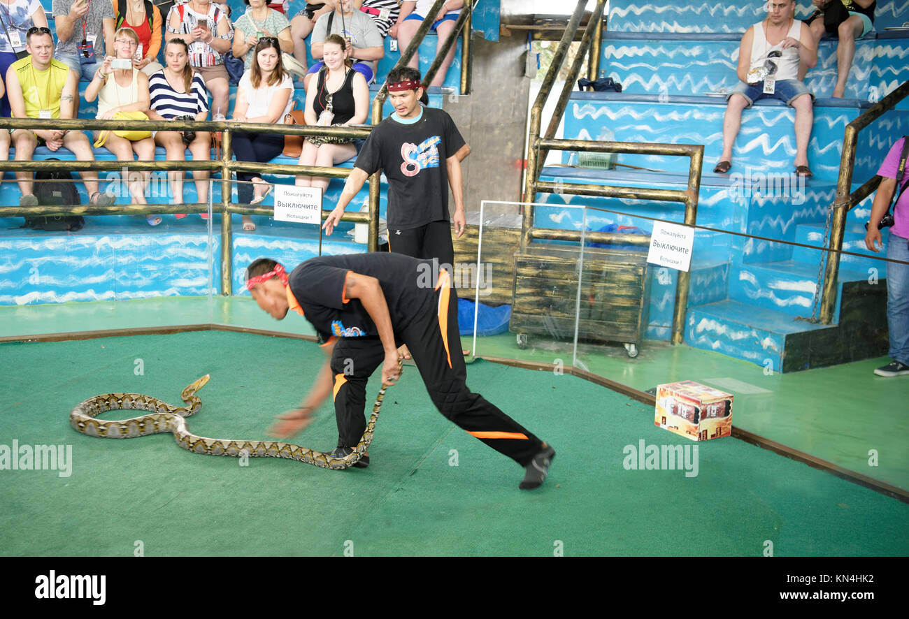 Snakes show thai hi-res stock photography and images - Alamy