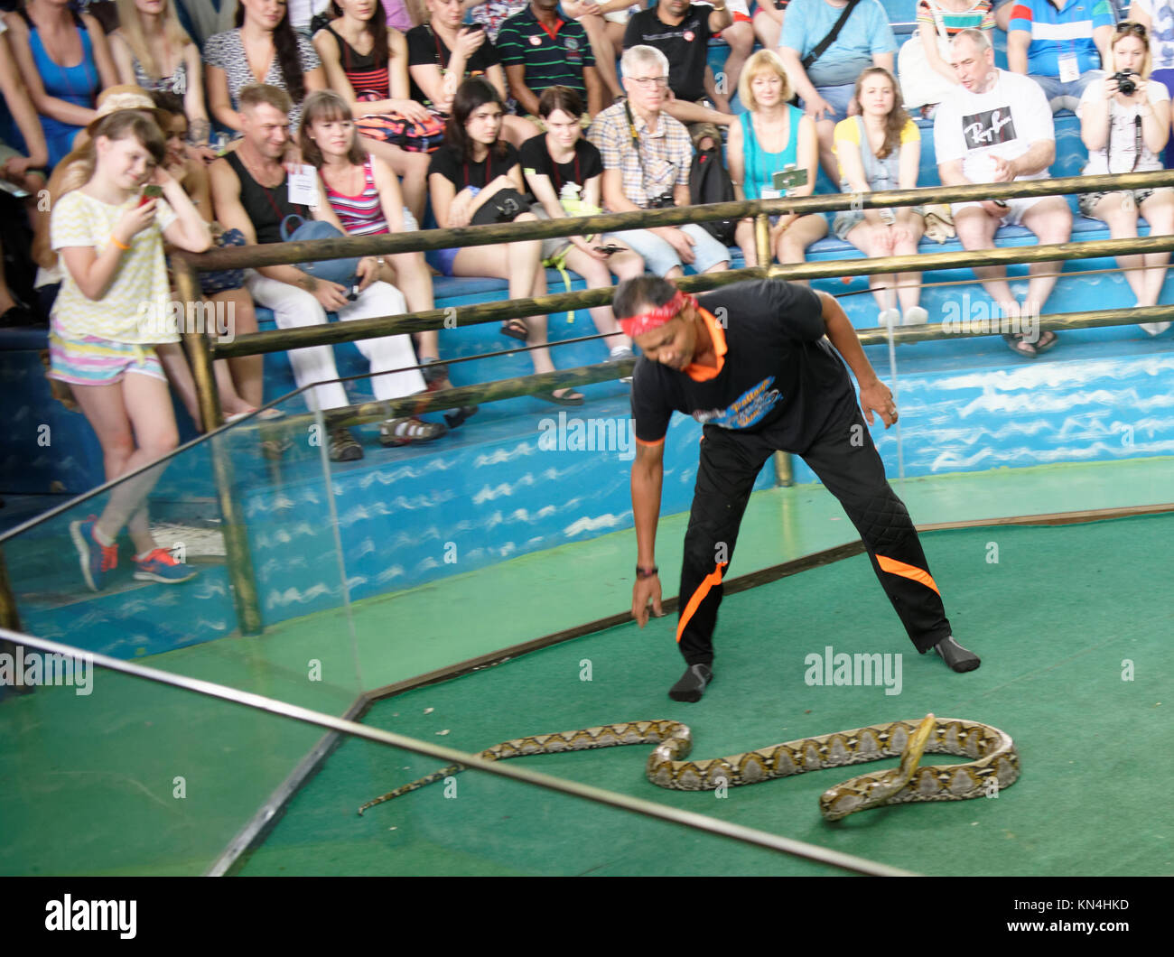 Snakes show thai hi-res stock photography and images - Alamy
