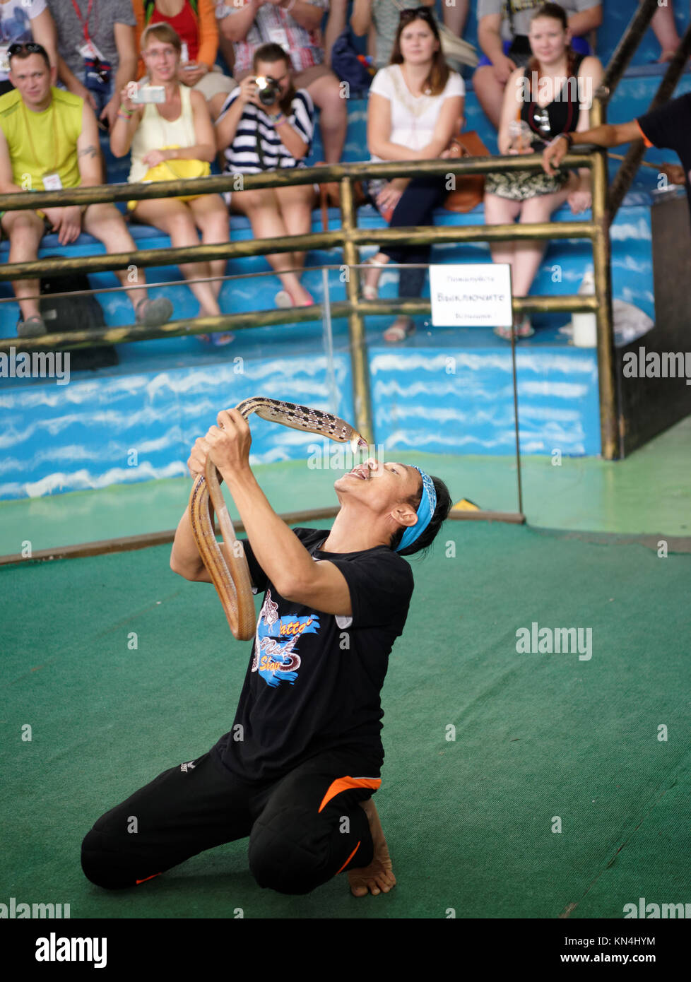 Zoo show reptile hi-res stock photography and images - Alamy