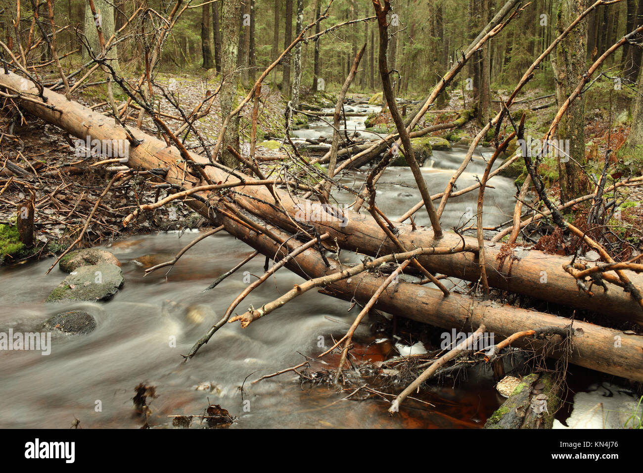 Landscape rapid river fallen tree hi-res stock photography and images ...